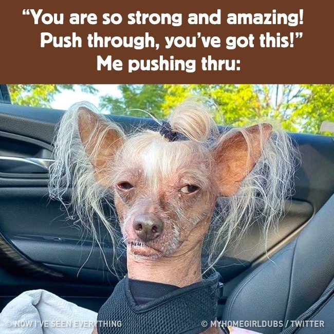 50 Hilarious Friday Memes to Get You Through the Workday