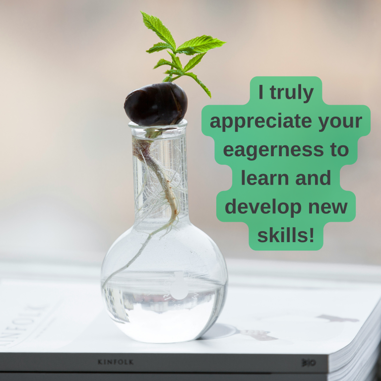 75 Energizing Employee Appreciation Quotes to Recognize Your Team