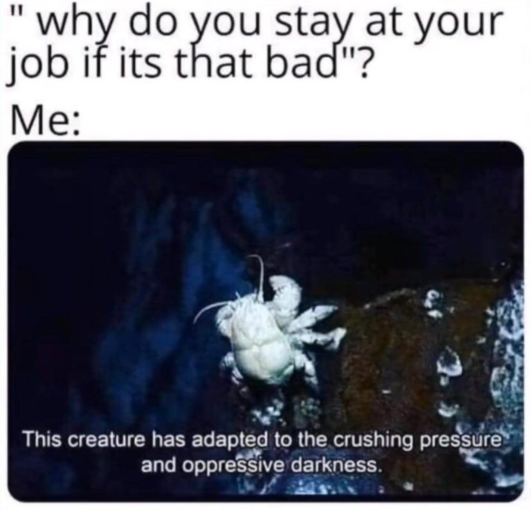 61 Funny Monday Memes For Work to Get You Through the Workday